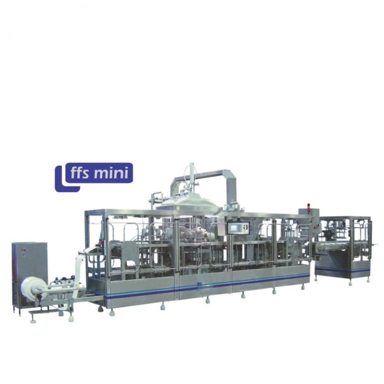 FFS Mini Model – Bisignano